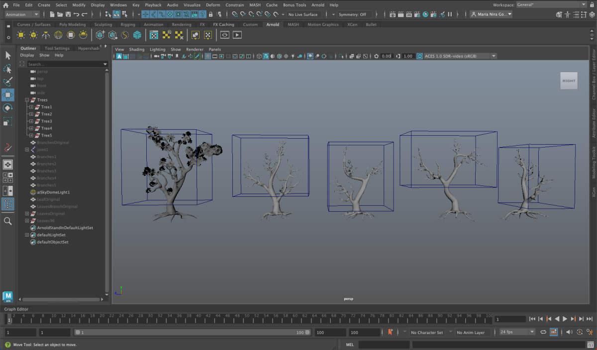Week 6: Final Trees Models using MASH, & Trees Arrangement in ...